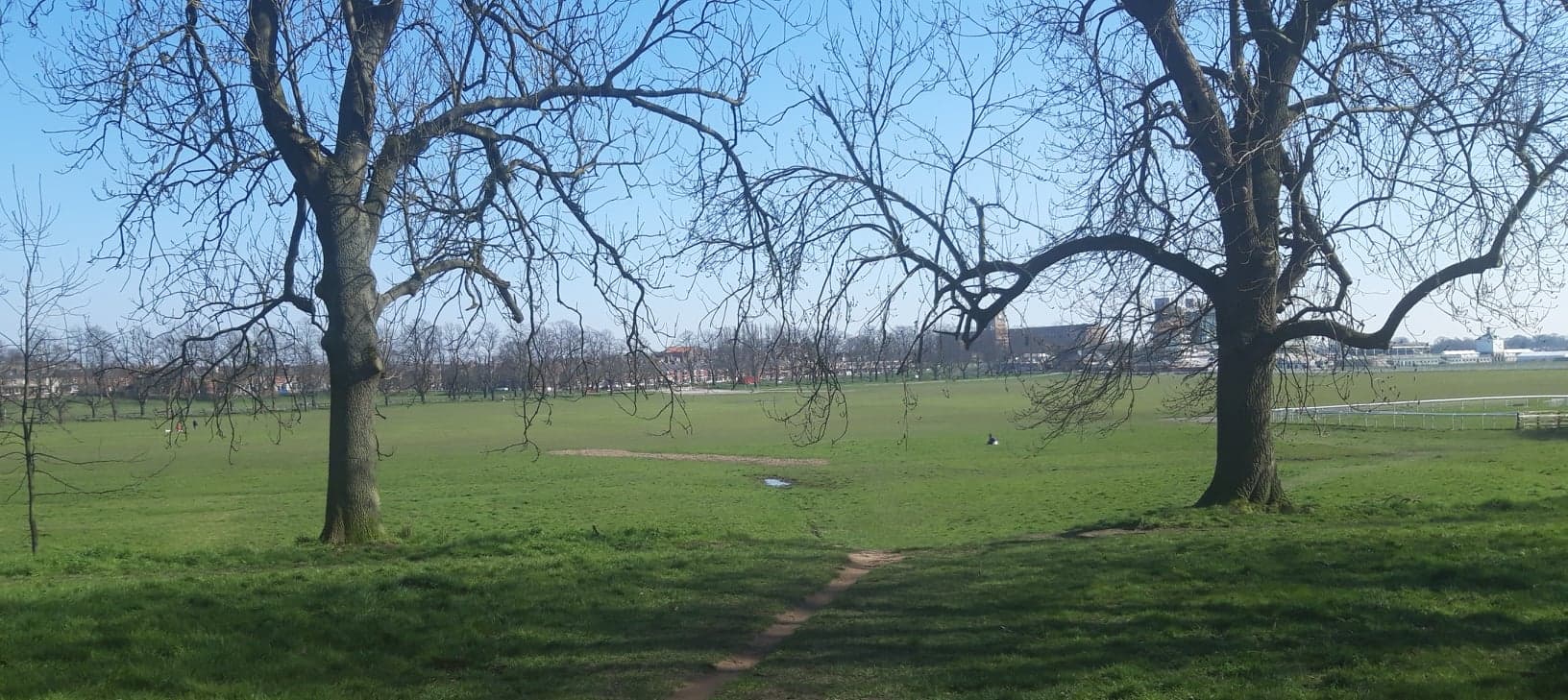Nature Time Routes – York Bike Belles