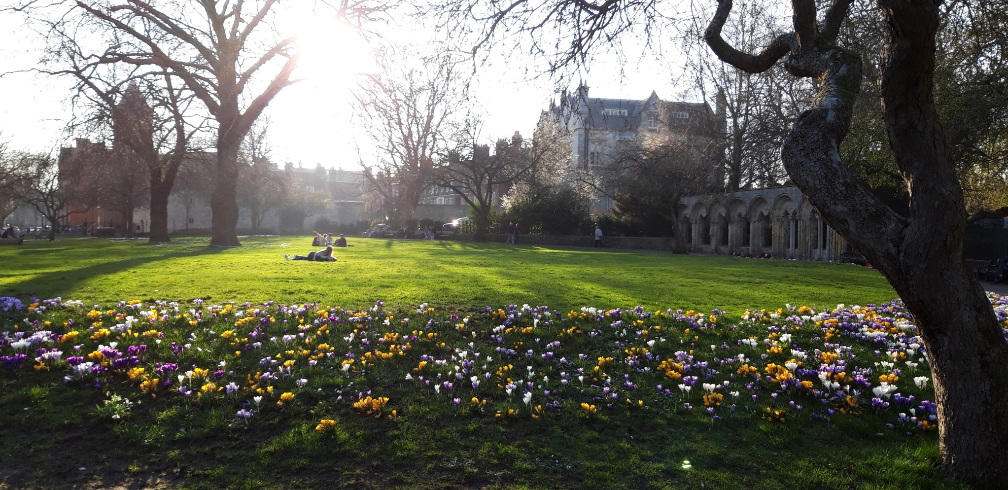 February Nature Calendar – York Bike Belles